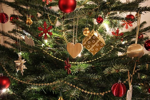 Which Trees are the Most Common Christmas Trees?